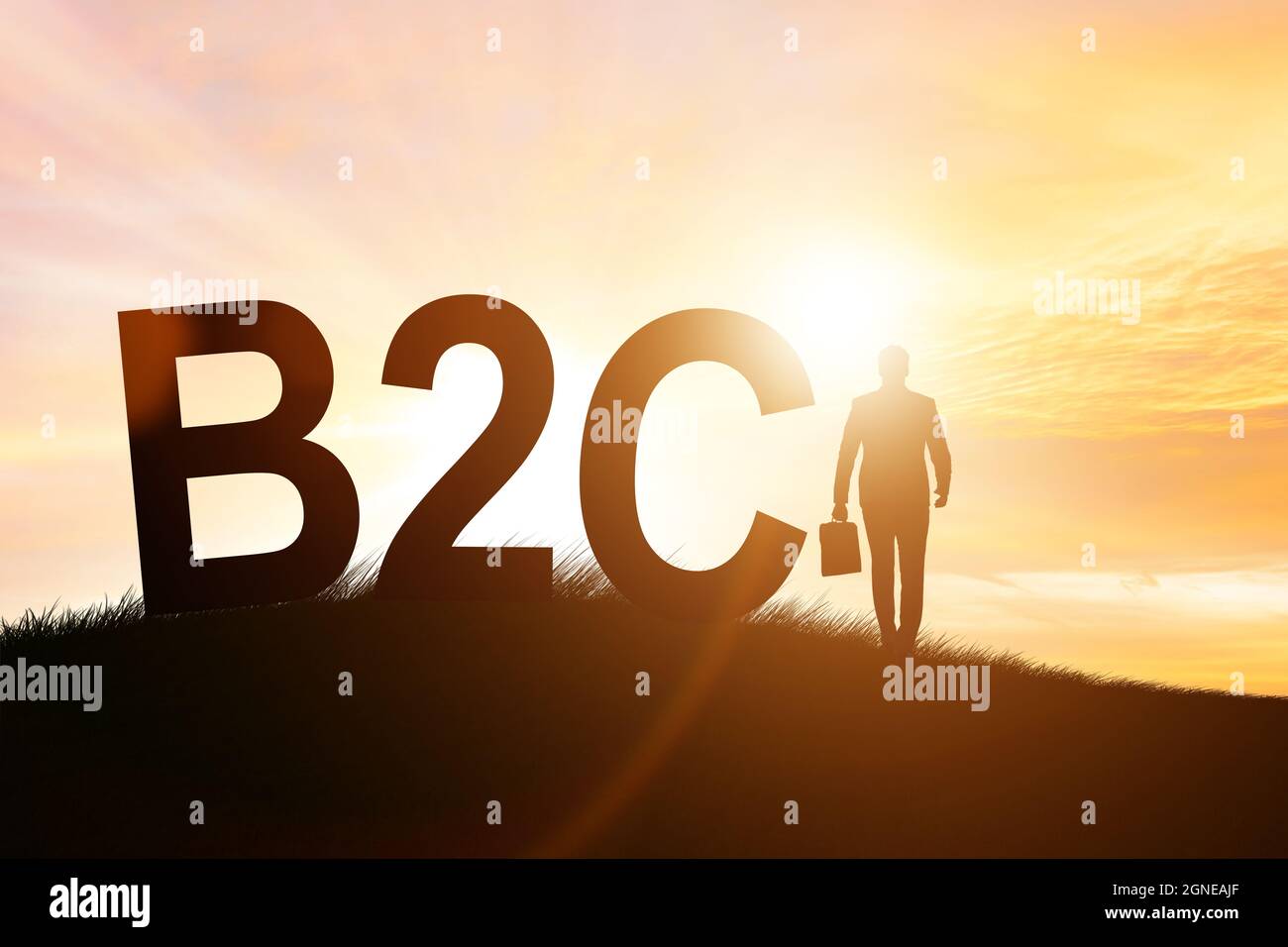 Business to customer concept with the businessman Stock Photo - Alamy