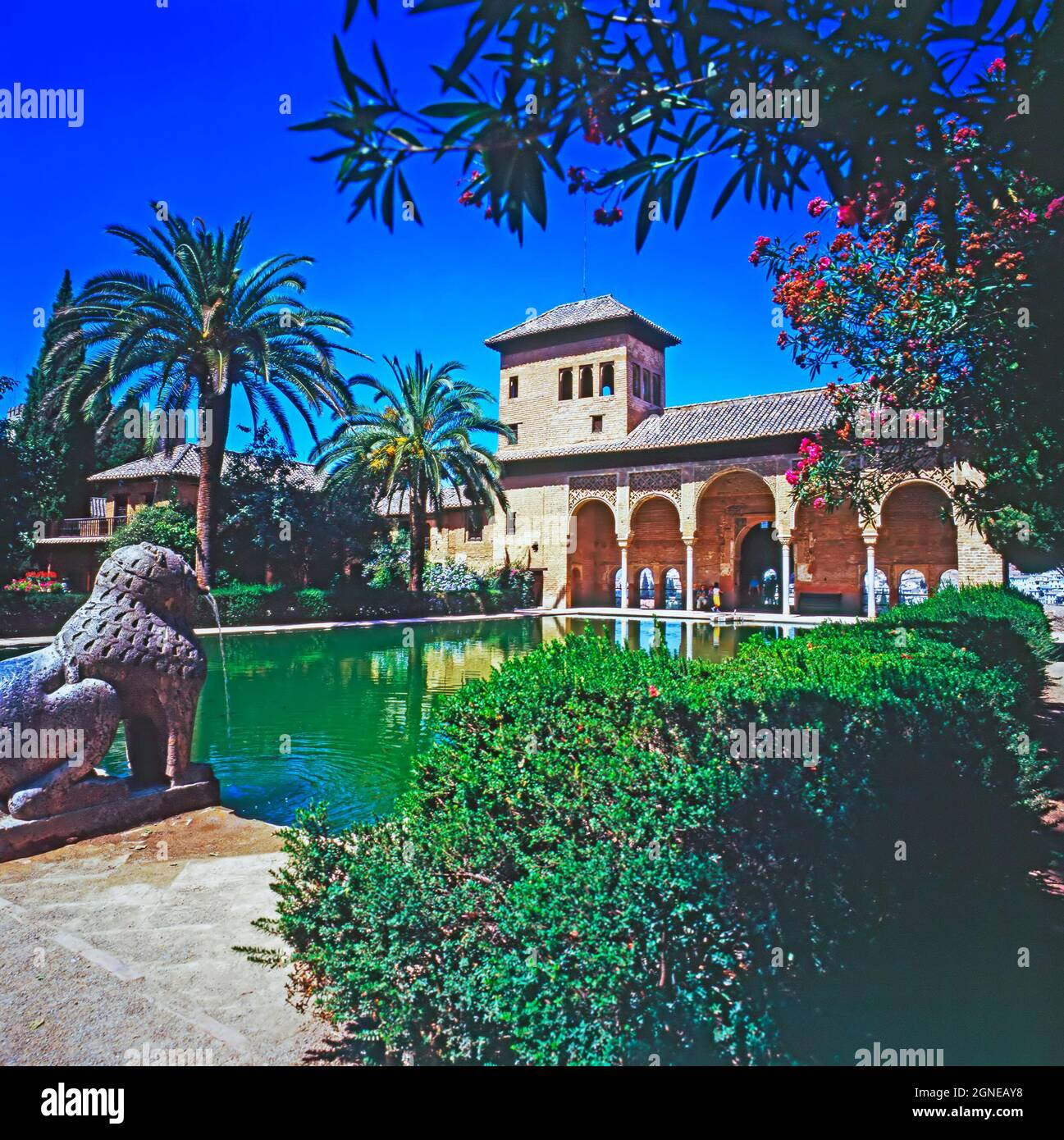 The Partal Palace in Alhambra, Spain Stock Photo - Alamy