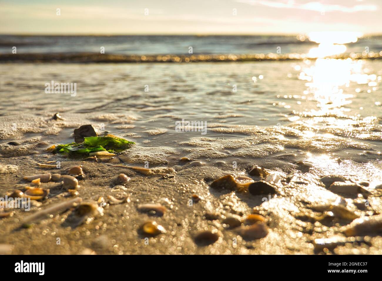 Sunset on the beach of Blåvand in Denmark. Walking in the evening in ...