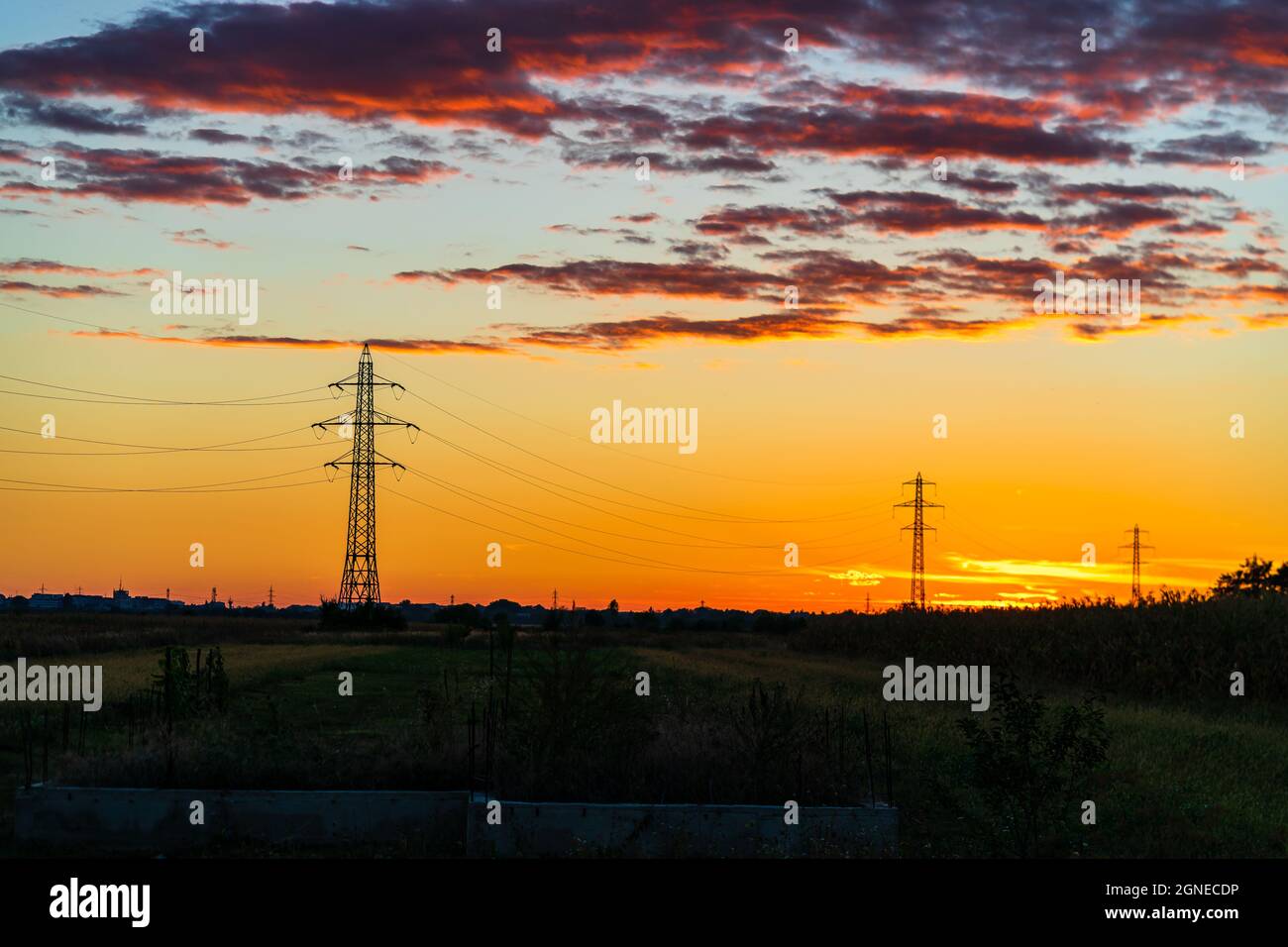 Detail of electric pole with electric cables and crop fields Stock ...