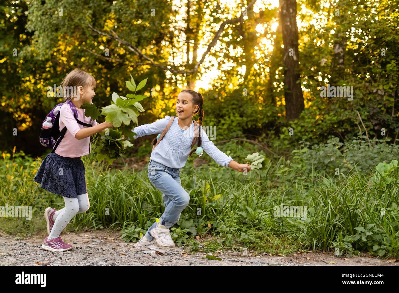 Two girls walk in summer in park, talk, walk after school and college ...
