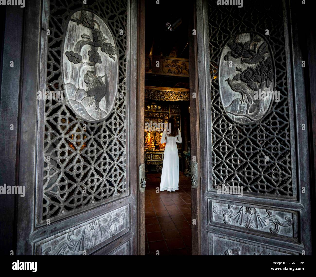 Museum of Vienam traditional medicine in Ho Chi Minh city southern ...