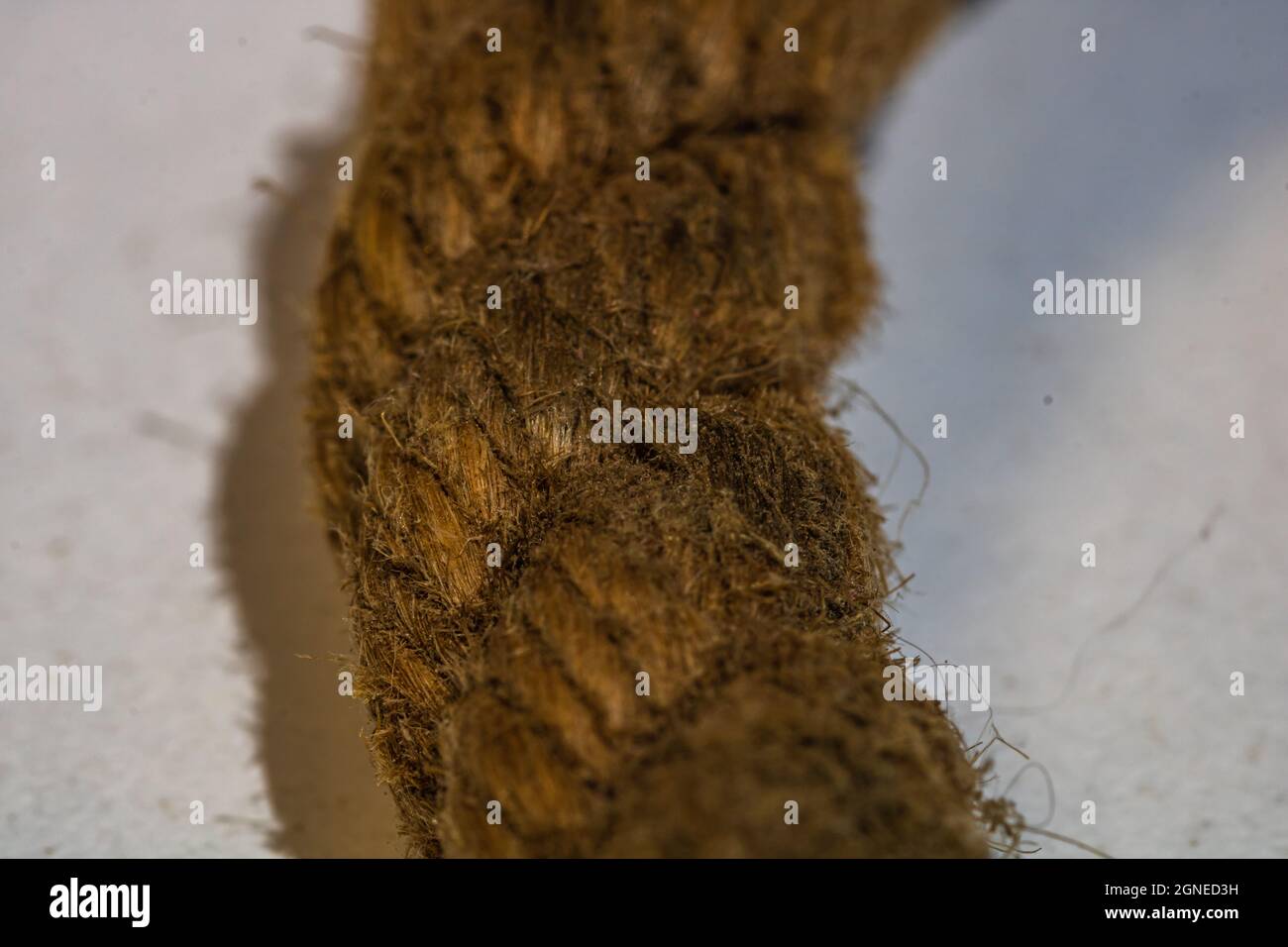 Texture details of thick and strong rope isolated Stock Photo - Alamy