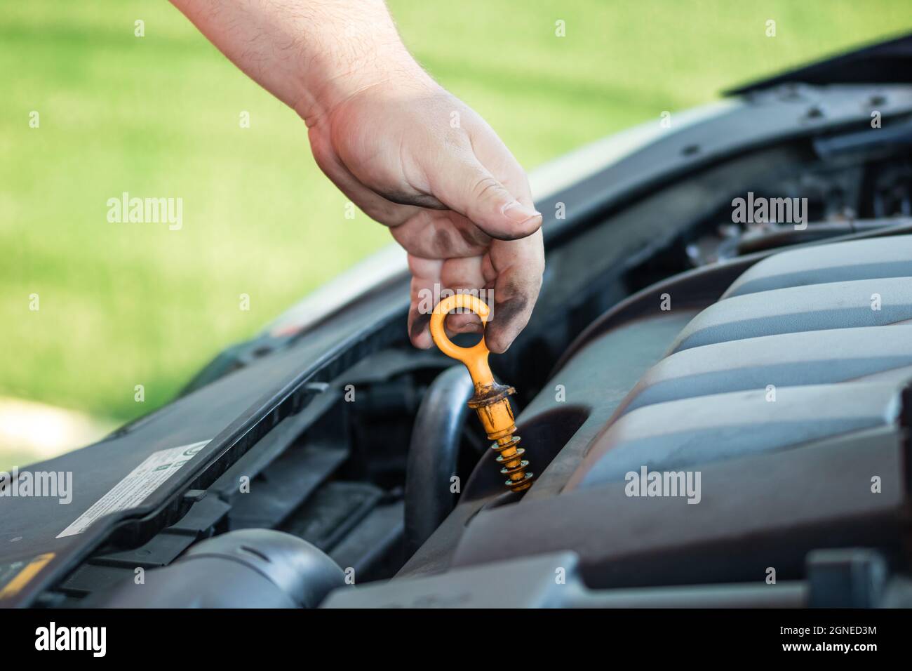 Car mechanic checking the engine oil level Stock Photo - Alamy
