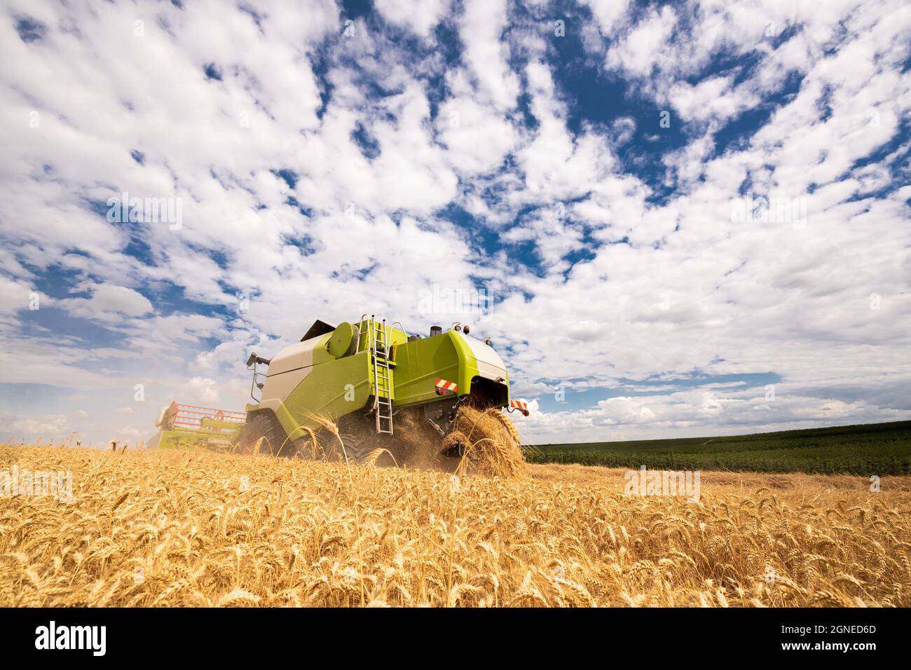 A combine harvester working in a wheat field Stock Photo - Alamy