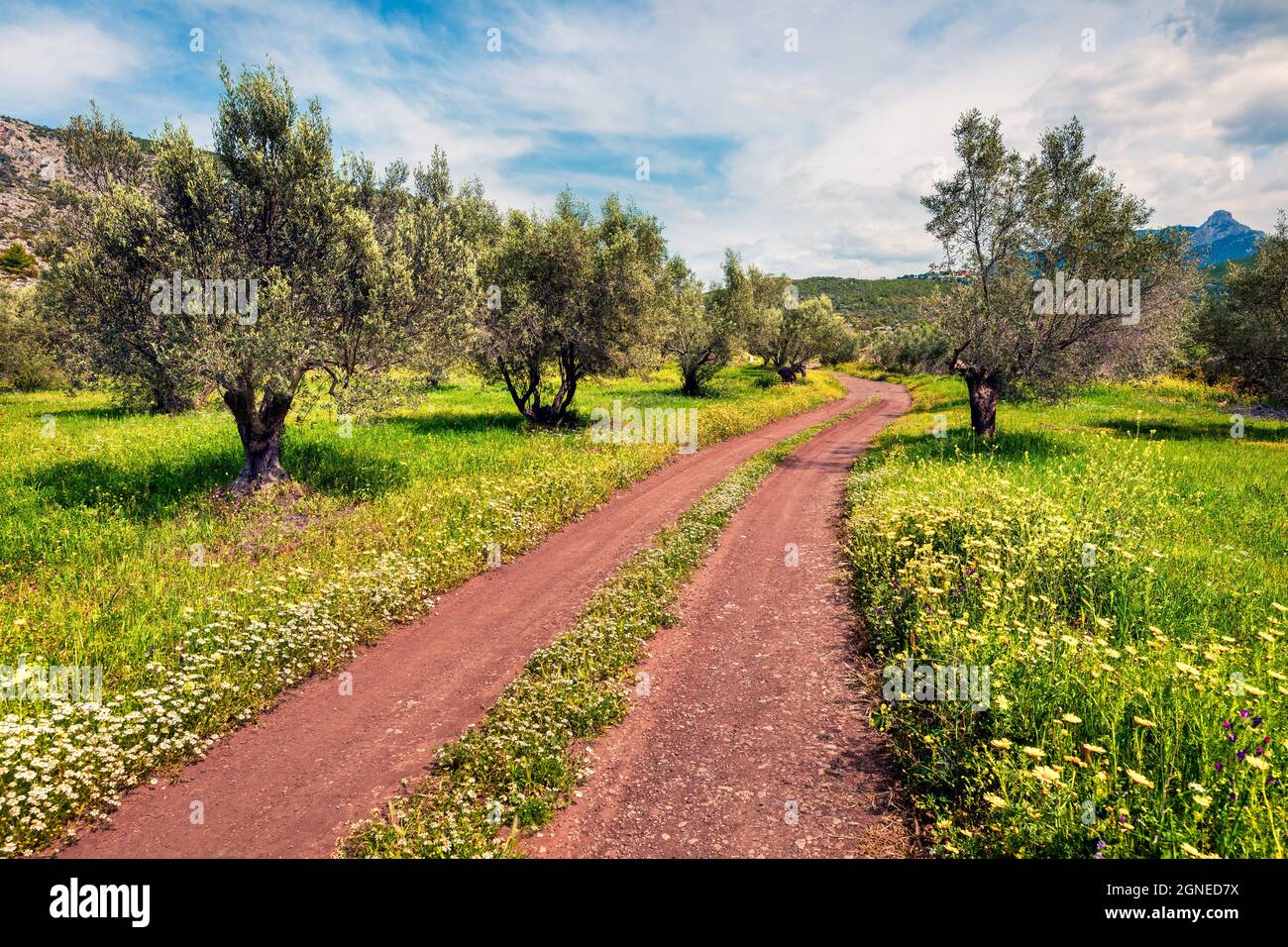 Explore stunning beauty picturesque orchard hi-res stock photography ...