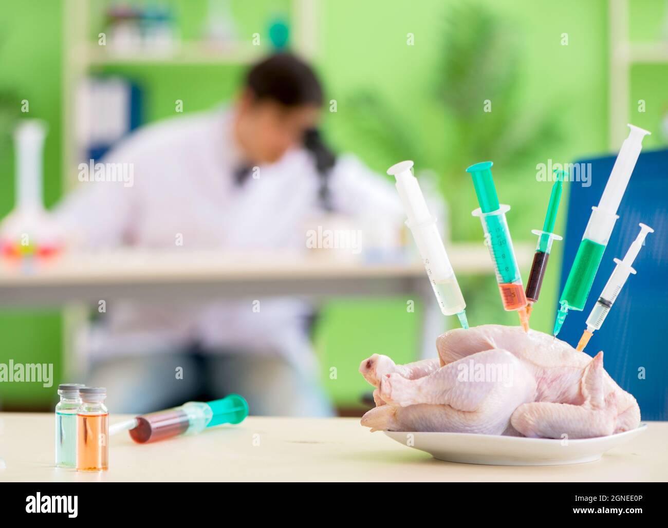 The lab assistant testing gmo chicken Stock Photo - Alamy