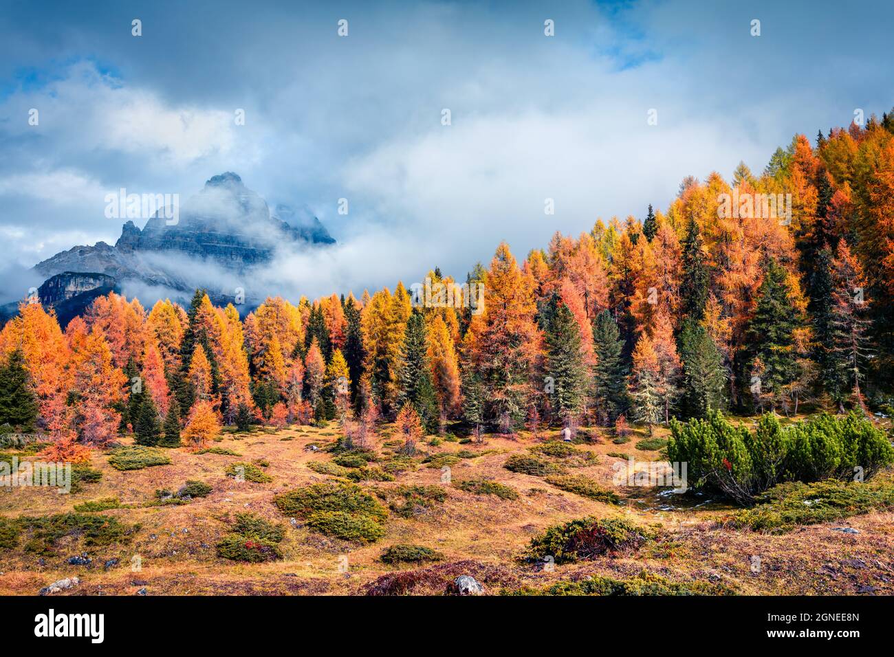 Sunny morning scene of National Park Tre Cime di Lavaredo. Colorful ...