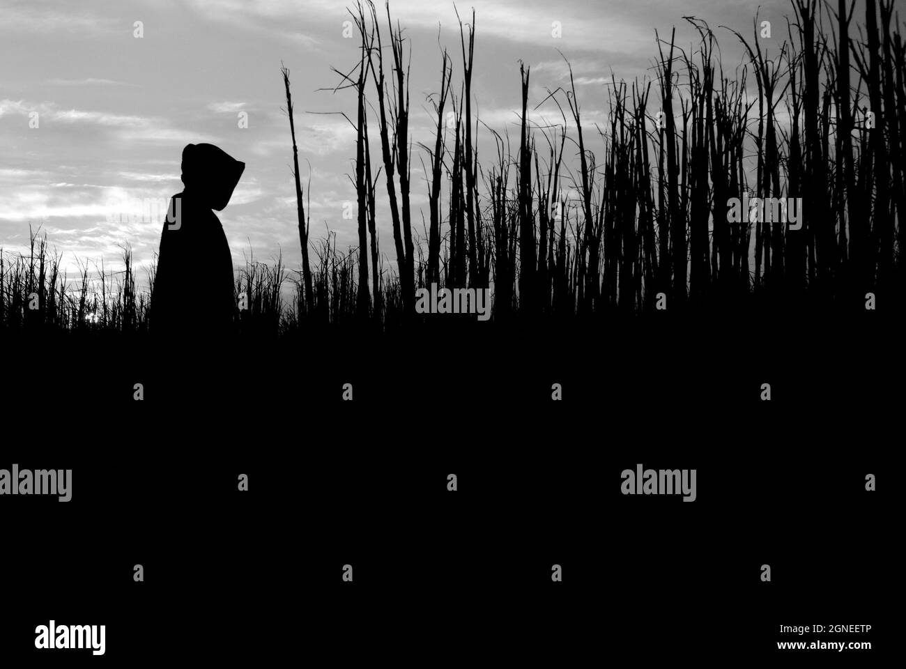 Minutes mexico hi-res stock photography and images - Alamy