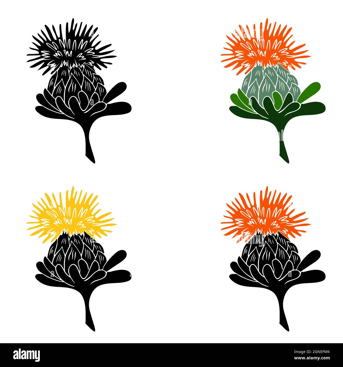 Safflower silhouette set. Isolated illustration on white background ...