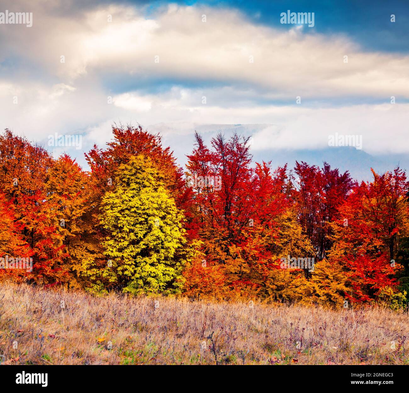 Sunny autumn scene of mountain valley. Colorful morning scene of ...