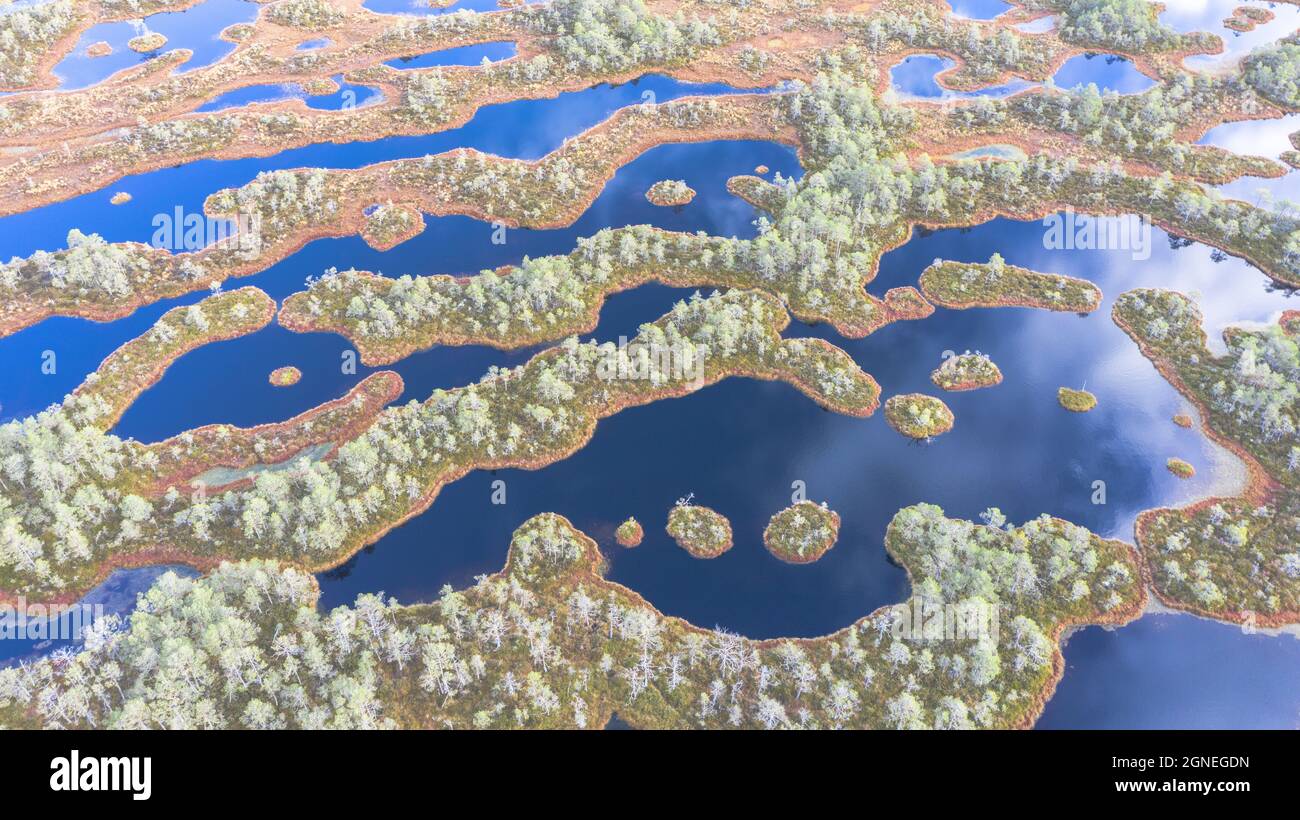 Aerial large lake swamp hi-res stock photography and images - Alamy