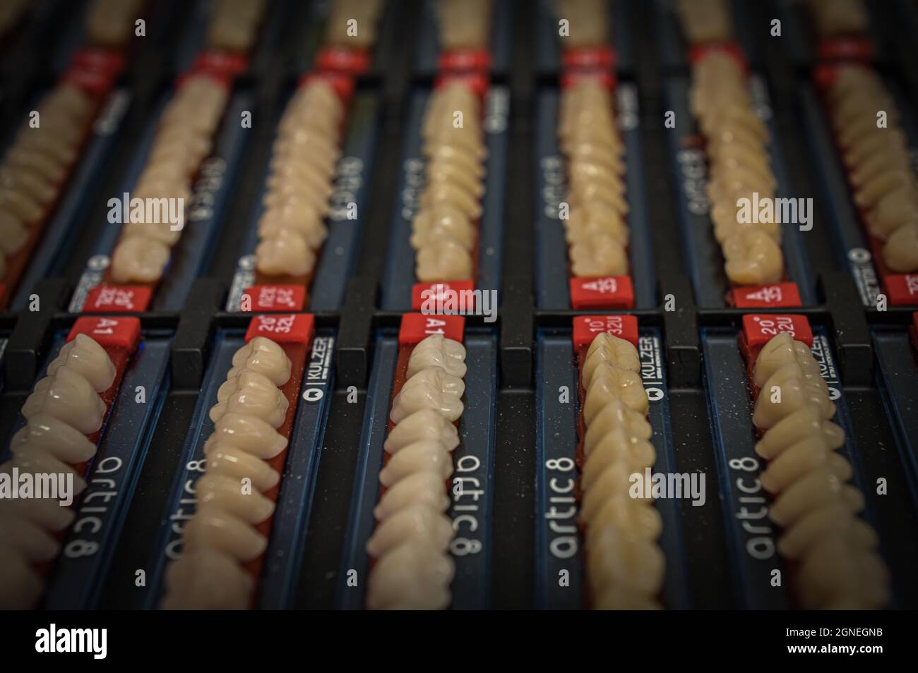 samples of human artificial teeth for a dental technician to create a ...