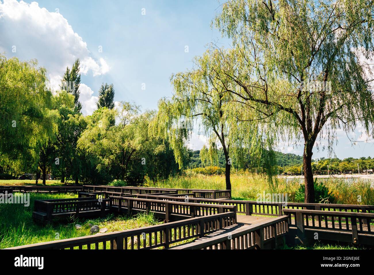 Pyeonghwa hi-res stock photography and images - Alamy