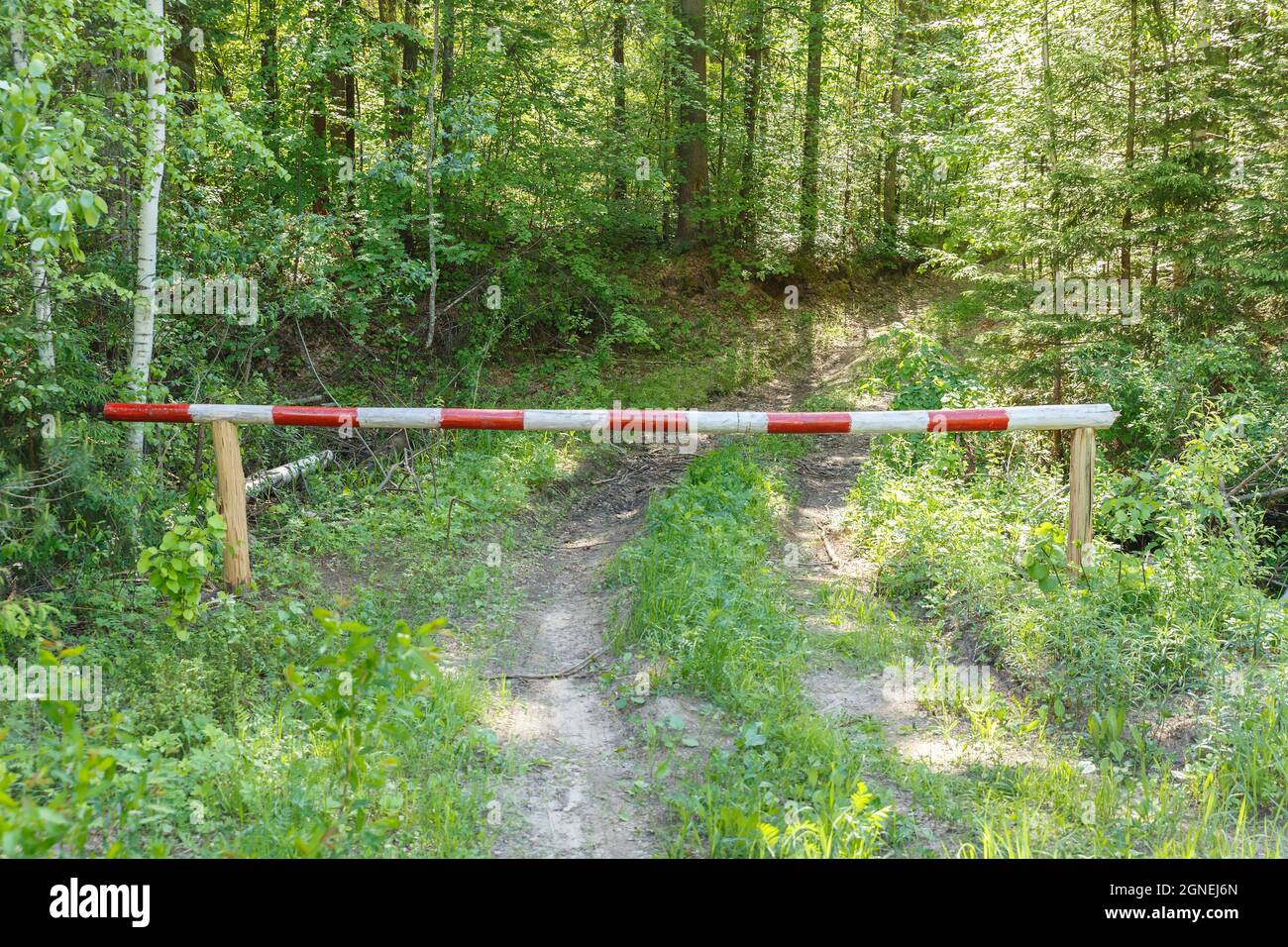 Closed barrier on the road in the forest. Entry into the forest is ...