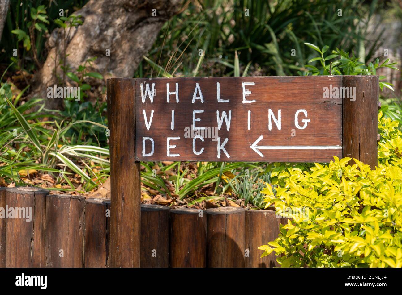 Whale viewing deck sign, Santorini, Durban, South Africa, on the ...