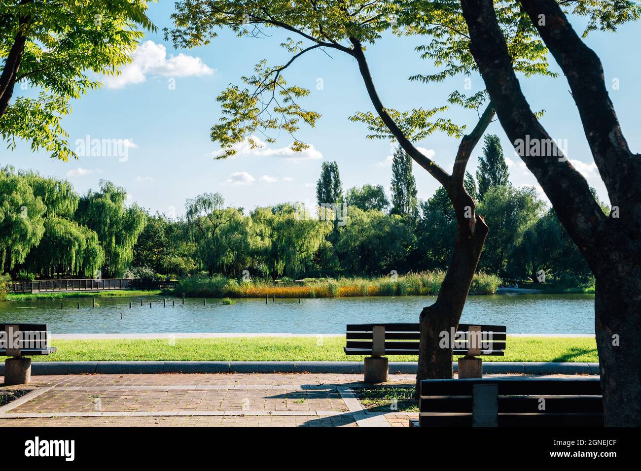 Pyeonghwa park hi-res stock photography and images - Alamy