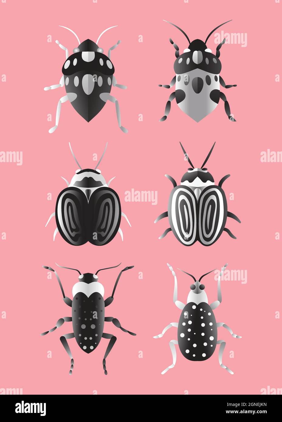 Cartoon Insects High Resolution Stock Photography and Images - Alamy