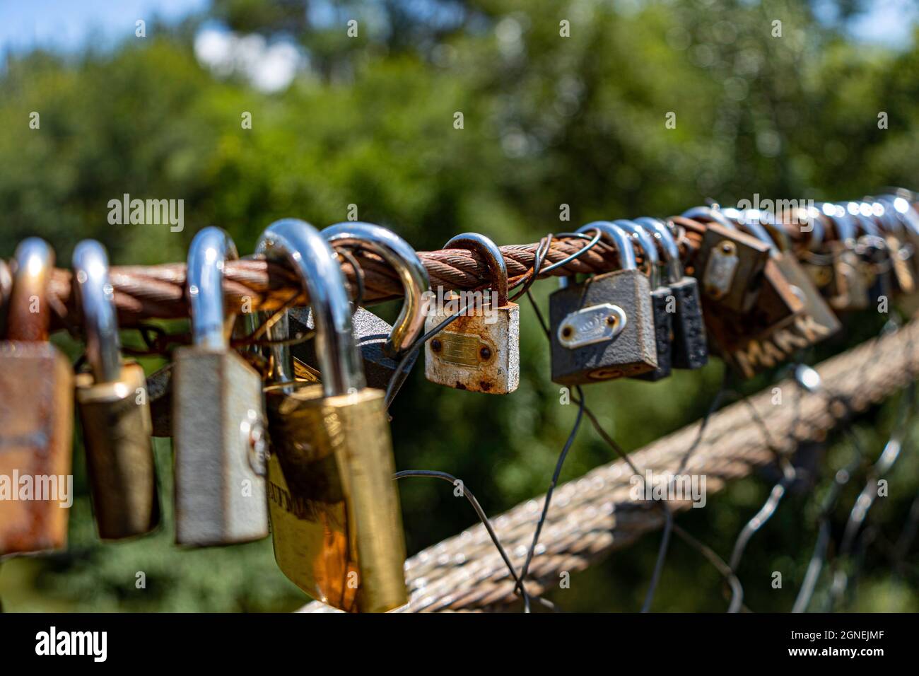 Different coloured locks left on the wire railing of a 100 year old ...