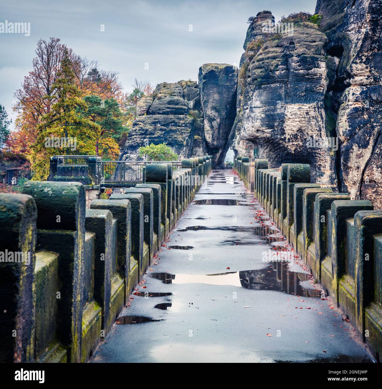 Fabulous autumn view of Bastei bridge. Picturesque morning scene of ...