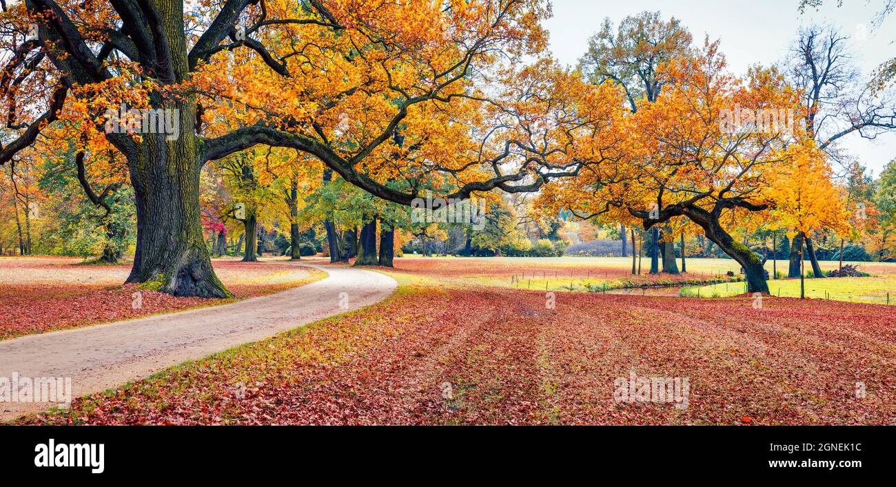 Colorful autumn view of Muskau Park, UNESCO World Heritage Site ...