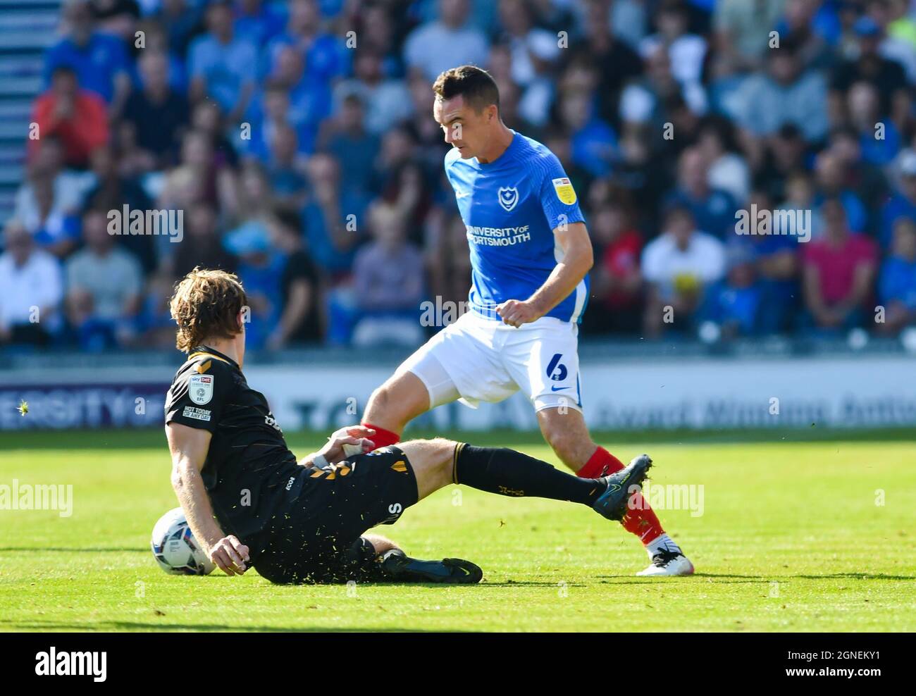 Shaun hi-res stock photography and images - Alamy