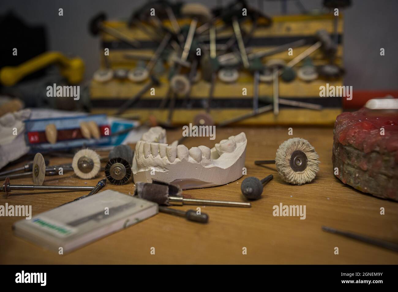 a copy of a human tooth cast in plaster stands on the table of a ...