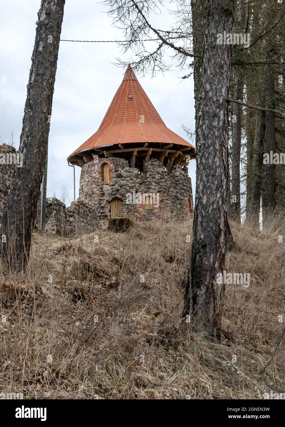 early spring landscape with a view of the castle ruins, the new bright ...