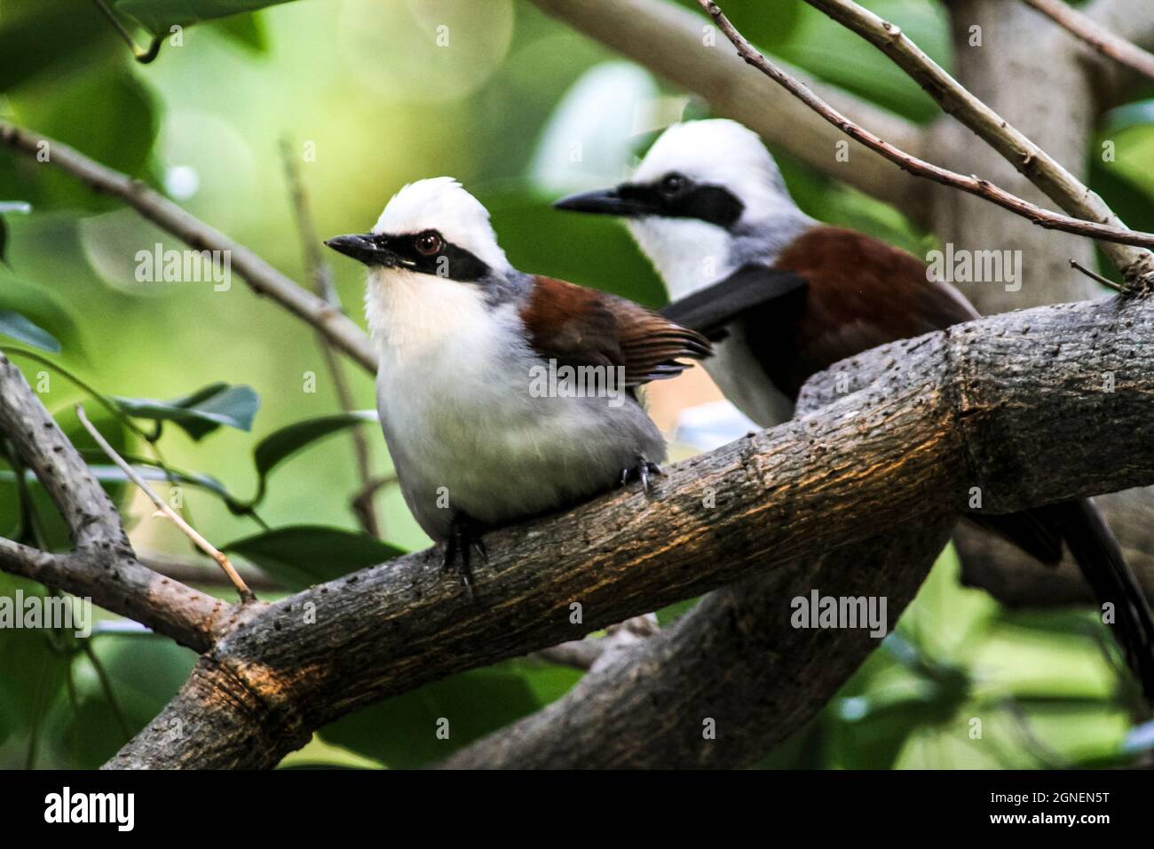 Ho Chi Minh city in southern Vietnam Stock Photo - Alamy