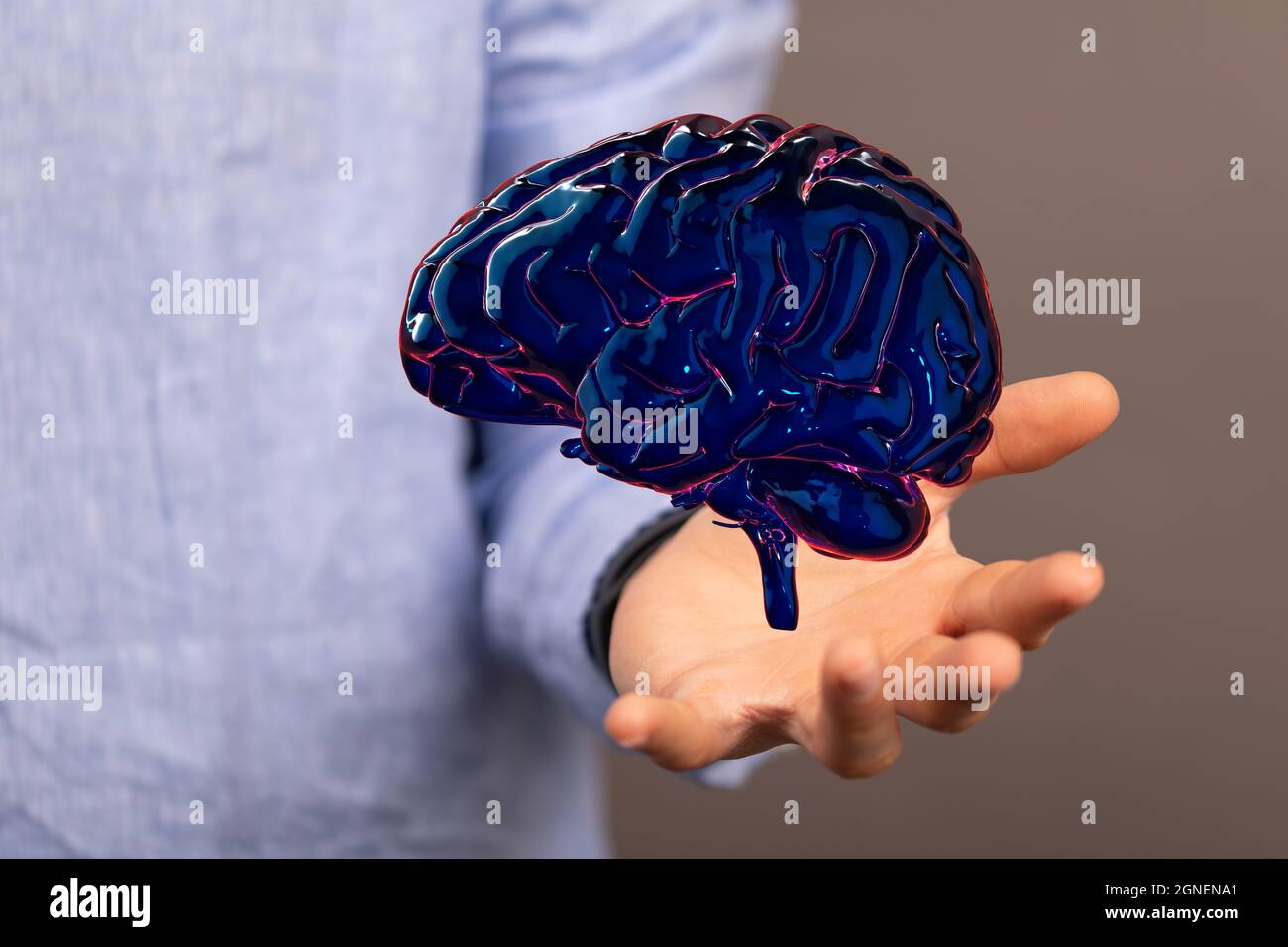 3d illustration of the human brain on the palm of a hand Stock Photo ...