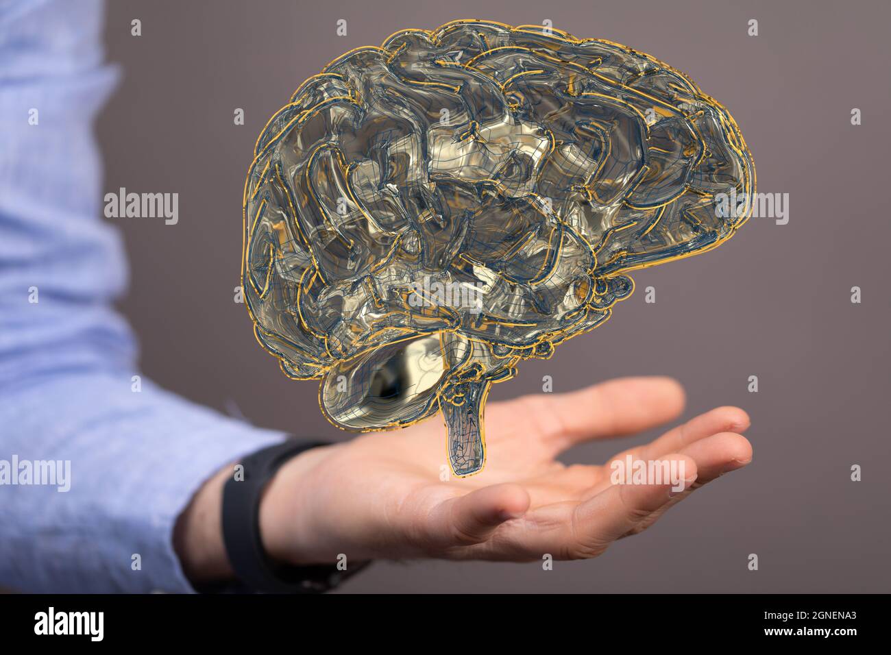 3d illustration of the human brain on the palm of a hand Stock Photo ...