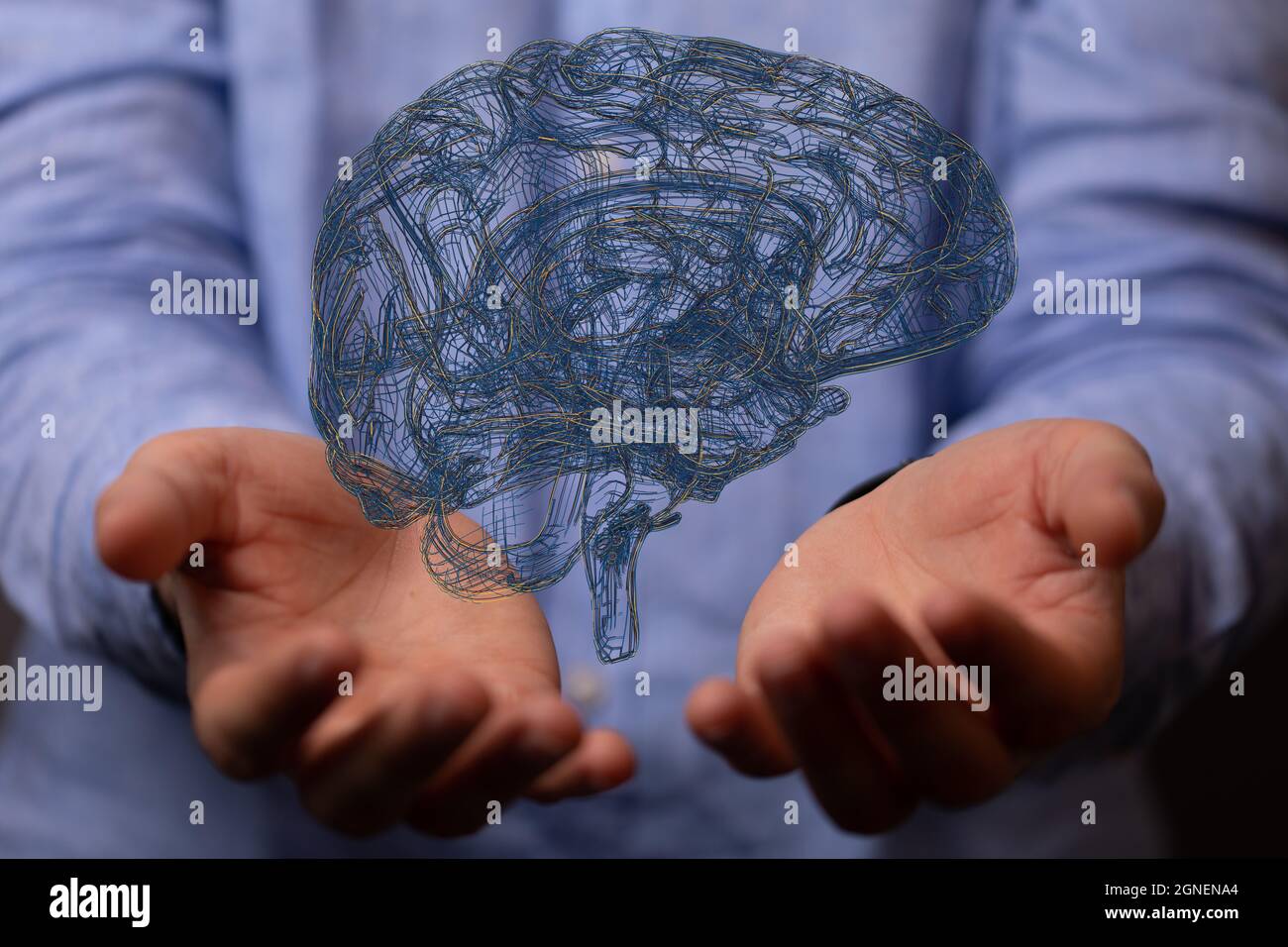 3d illustration of the human brain on the palm of a hand Stock Photo ...