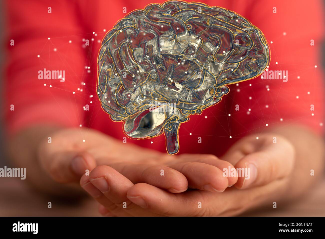 3 illustration of the human brain on the palm of a hand Stock Photo - Alamy