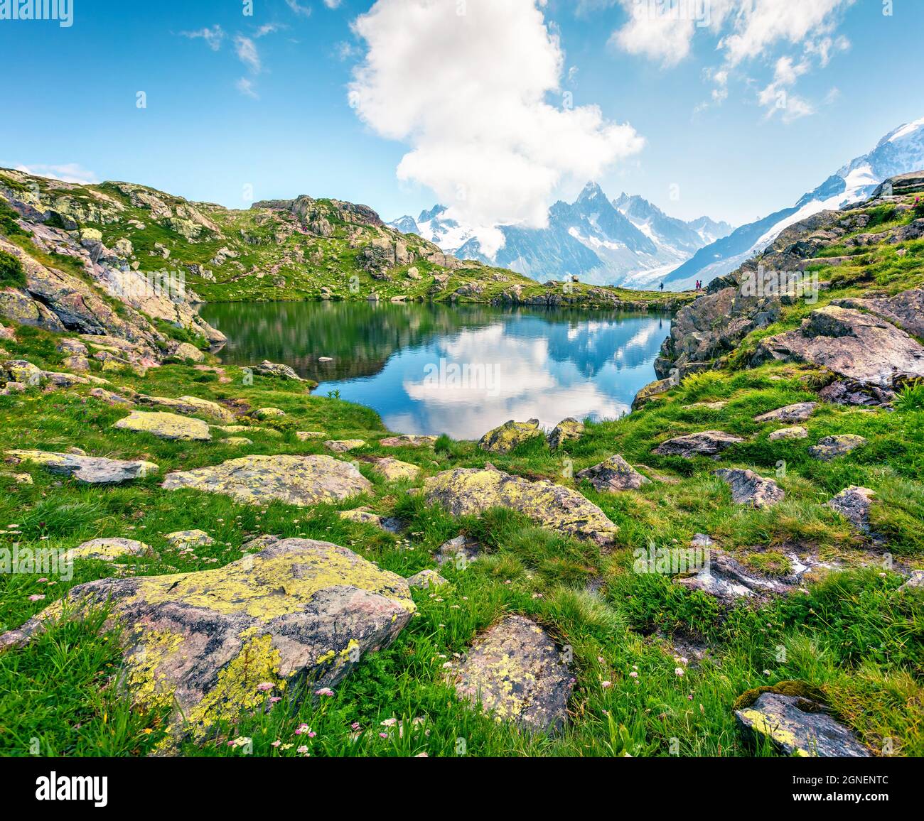 Colorful summer view of the Lac Blanc lake with Mont Blanc (Monte ...