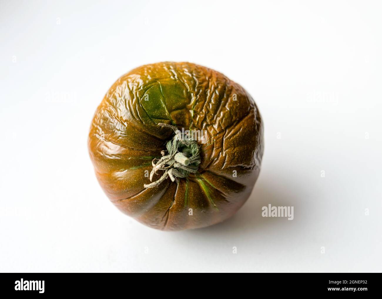 photo with withered and wrinkled tomatoes on a light background ...