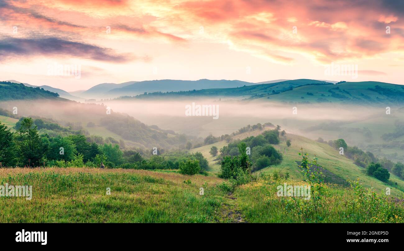 Fabulous summer sunrise in Carpathian mountains. Misty morning scene of ...