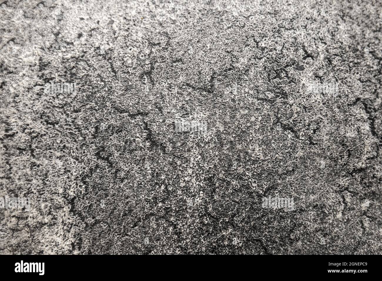 grained grey metallic background. High quality and resolution beautiful ...