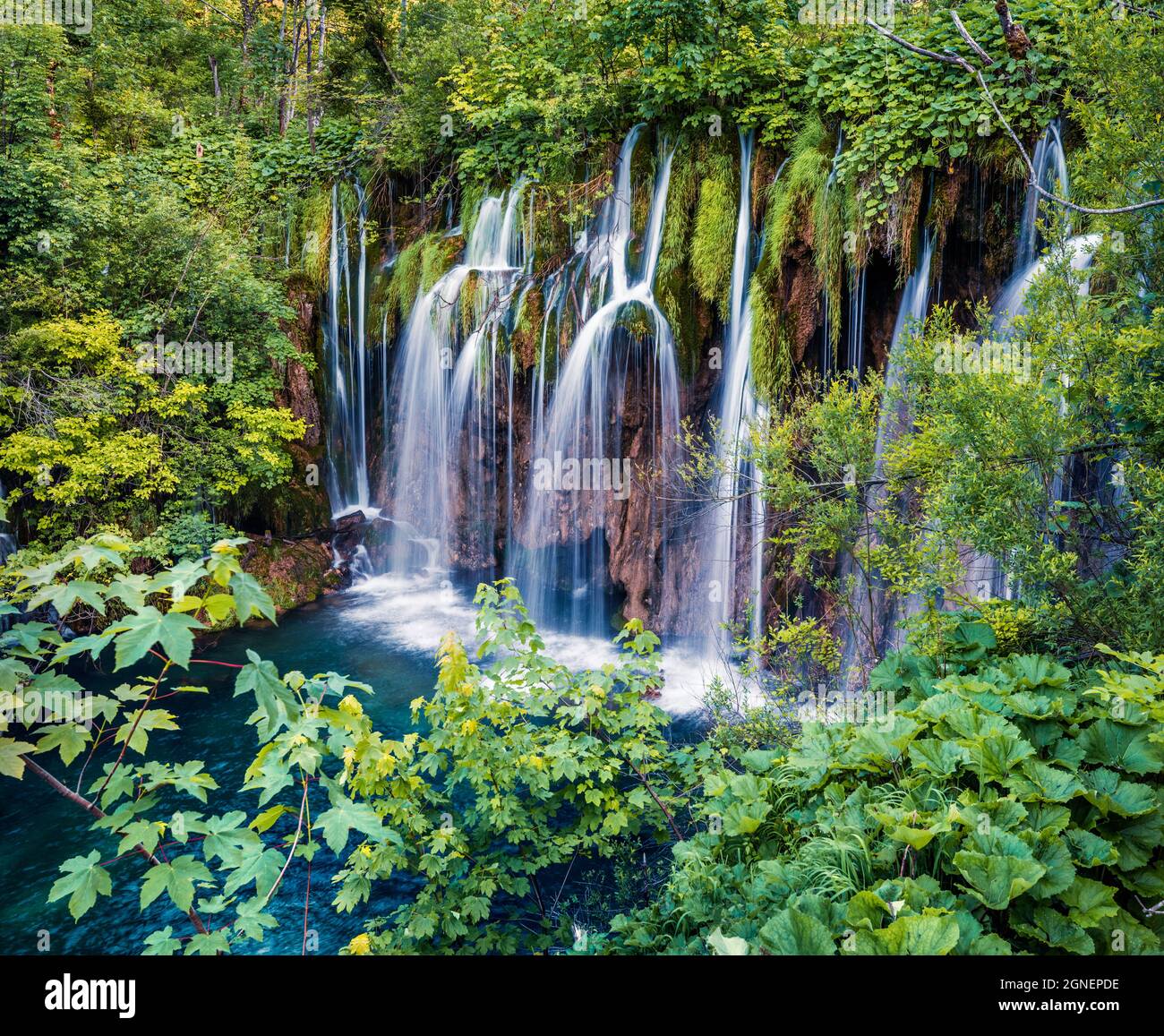Colorful spring scene of green forest with pure water waterfall in ...