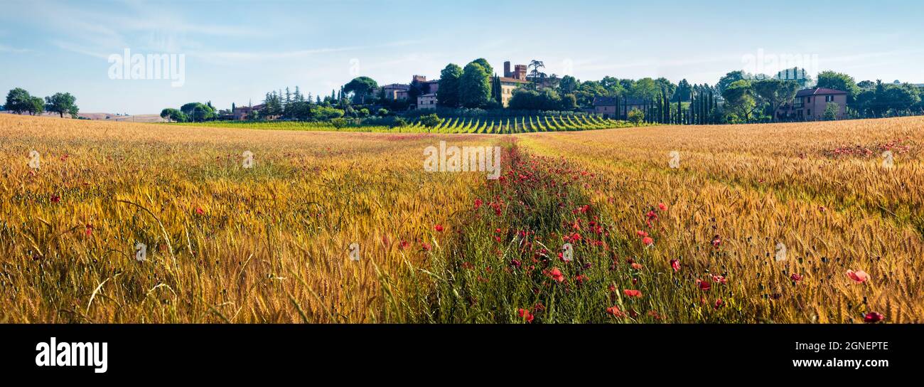 Climate toscana hi-res stock photography and images - Alamy