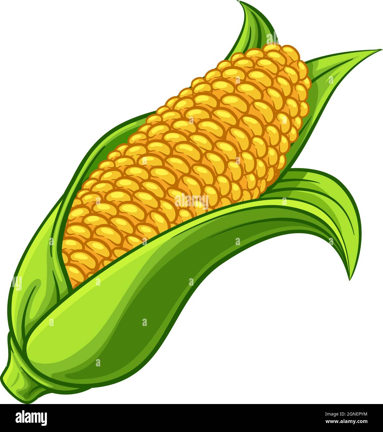 Ear fruit Stock Vector Images - Alamy