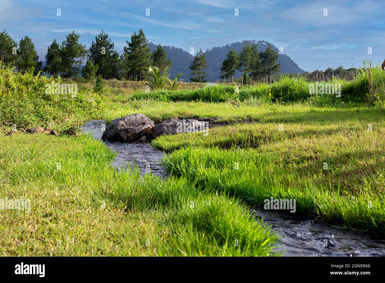 Magical view small forest river hi-res stock photography and images - Alamy