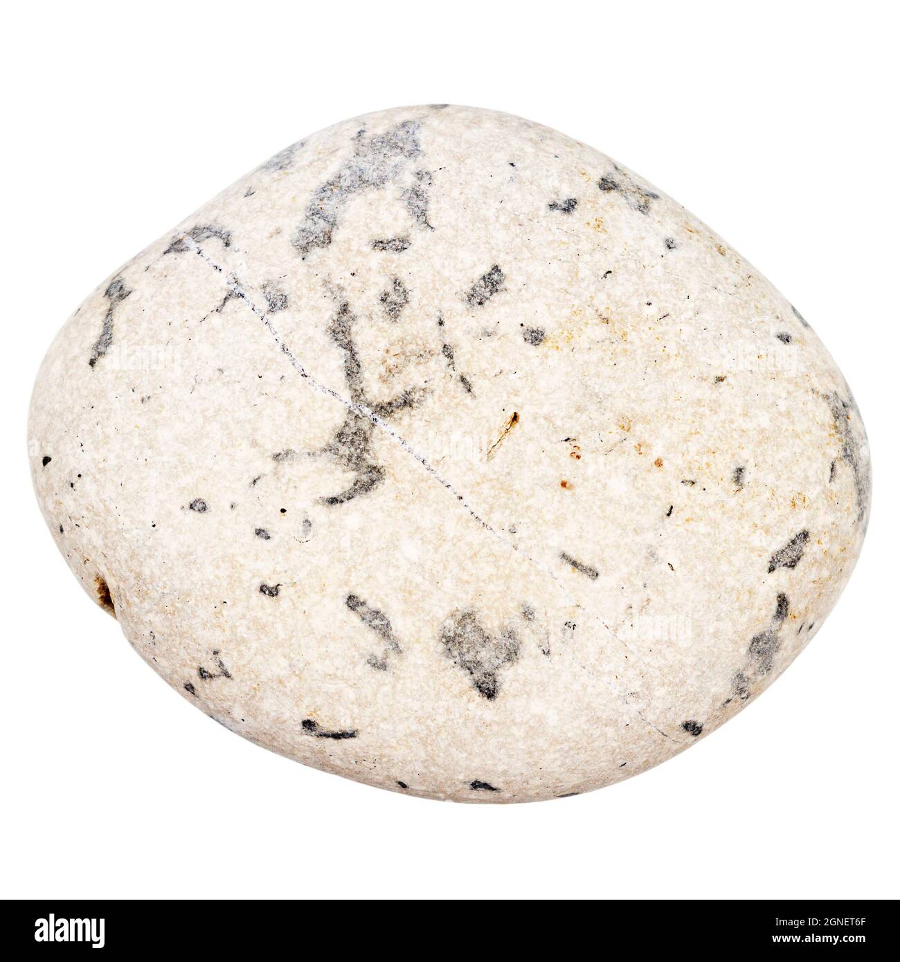 Top view of single gray pebble isolated on white background Stock Photo ...