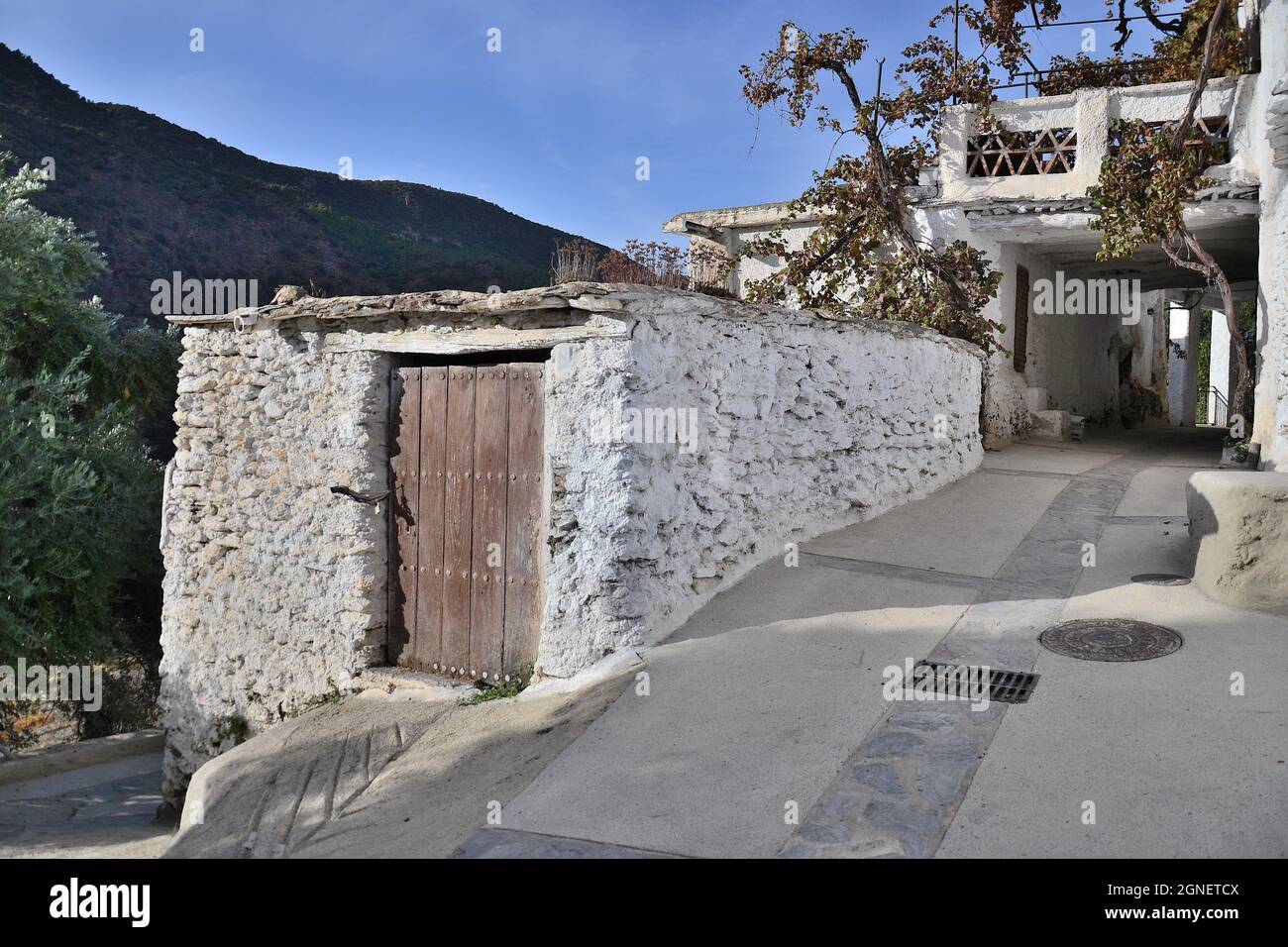 typical house of the Alpujarra in a village of La Taha with vine and ...