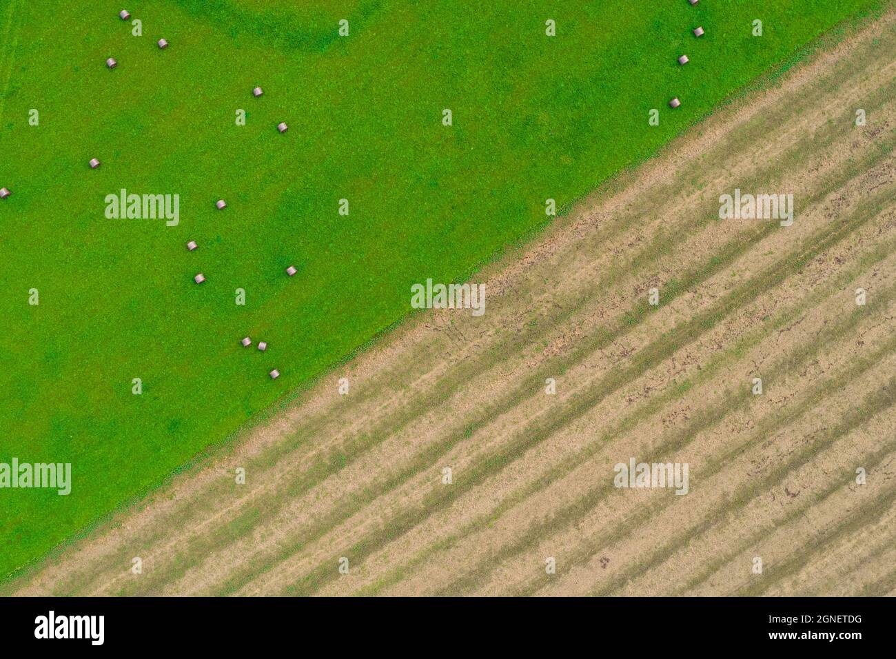 Aerial drone view shoot of abstract geometric shapes of green farm lawn ...