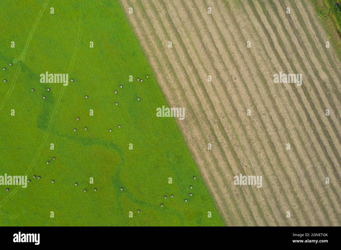 Aerial drone view shoot of abstract geometric shapes of green farm lawn ...