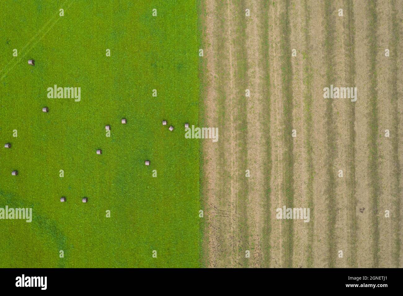 Corn field high angle view hi-res stock photography and images - Alamy