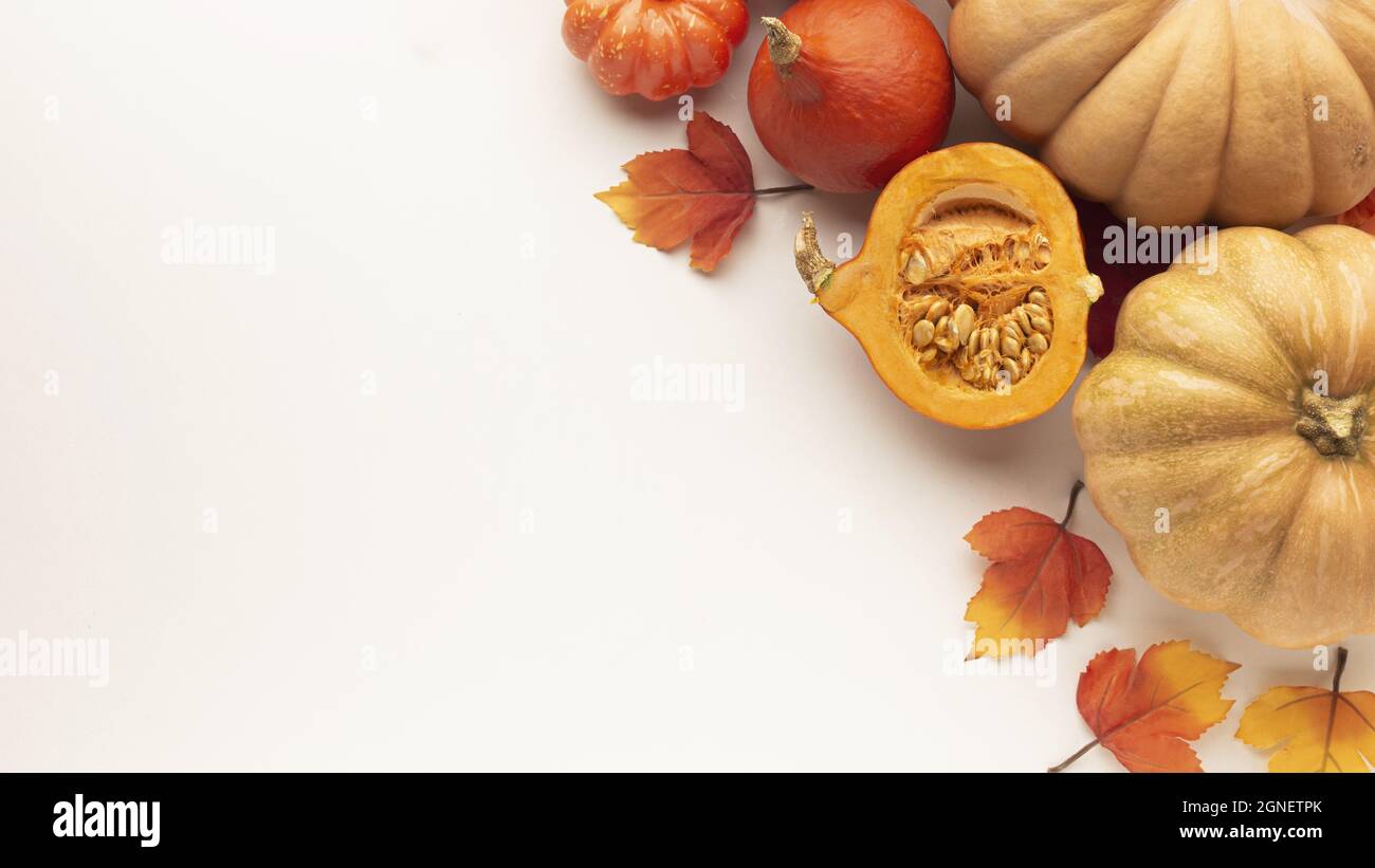 flat lay frame with pumpkins white background. High quality and ...