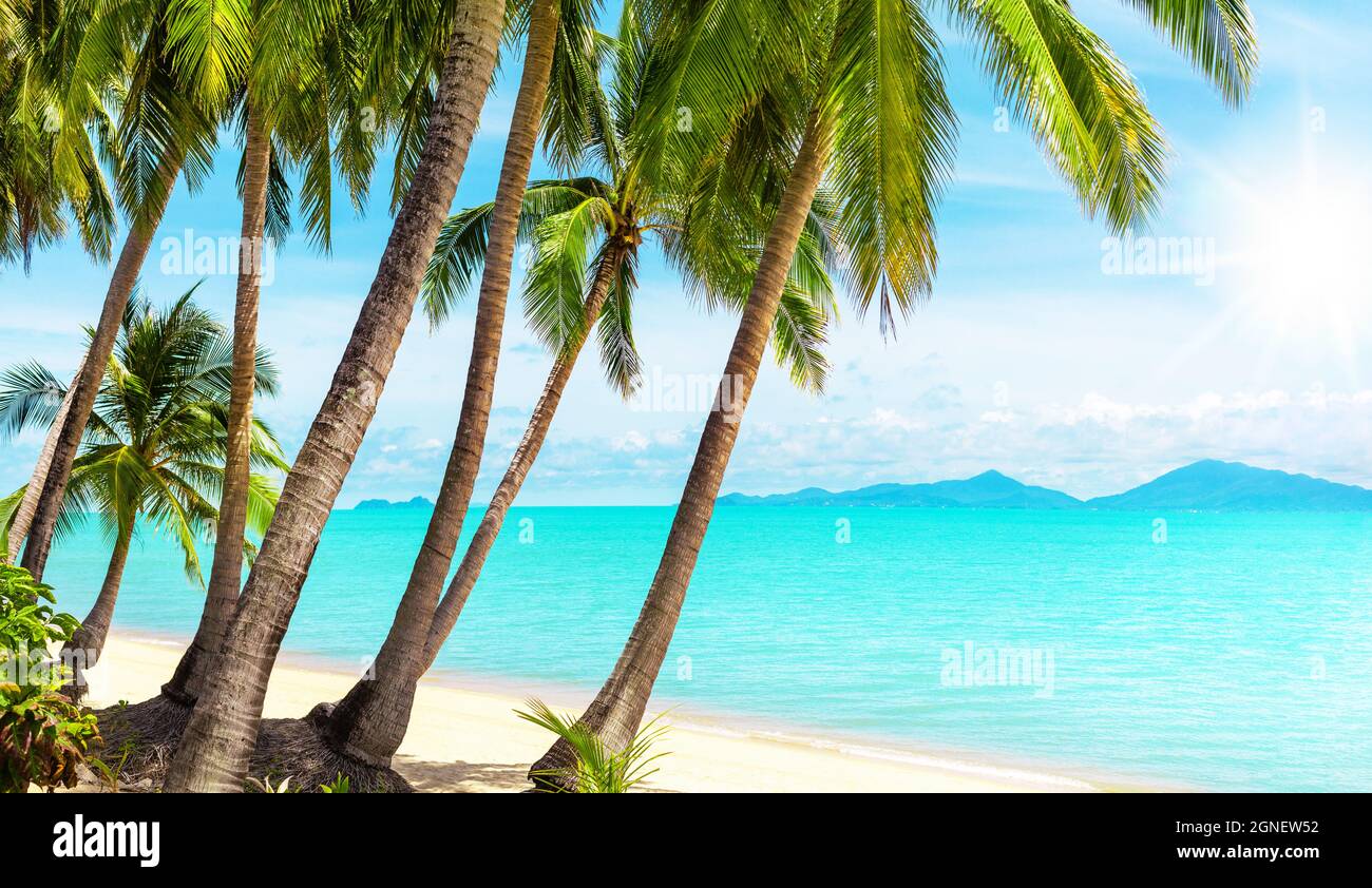 Nature Landscape Island Beach