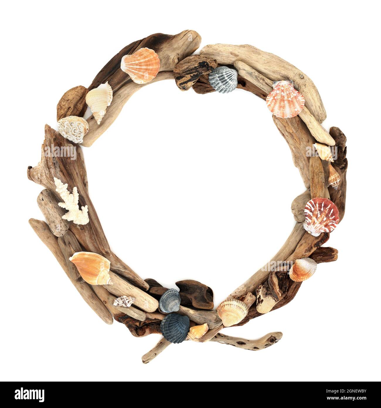 Natural driftwood and sea shell abstract wreath isolated on white ...