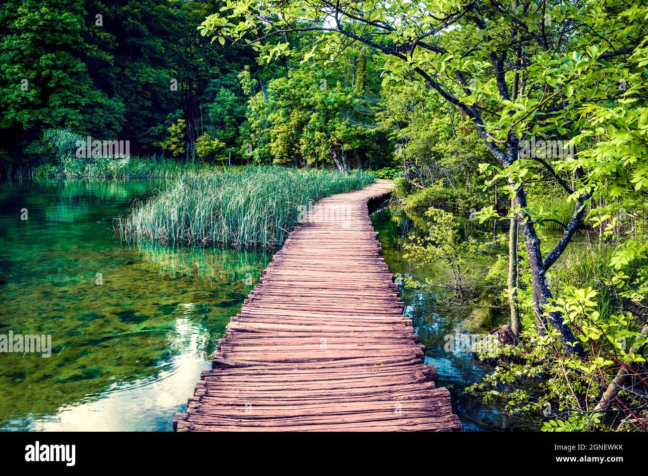 Beautiful morning view of Plitvice National Park. Sunny spring scene of ...